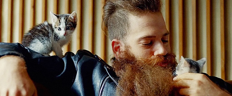 Brand Refresh vs Rebrand: Which is Best for You? [+Checklist]